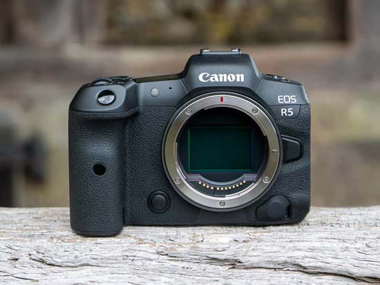 Canon R3 vs Canon R5 - Head-to-head Comparison | Photography Blog