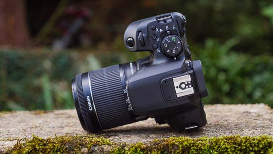 Canon EOS 850D Review | Photography Blog