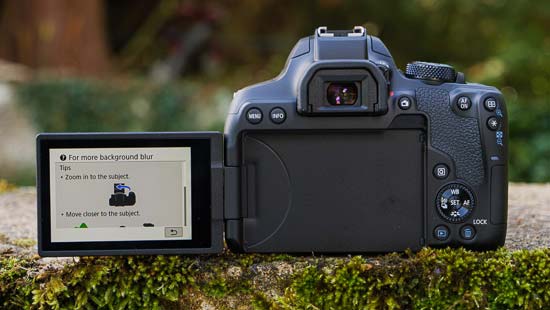 Canon EOS 850D Review | Photography Blog