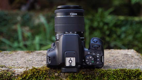 Canon EOS 850D Review | Photography Blog