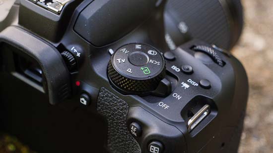 Canon EOS 850D Review | Photography Blog