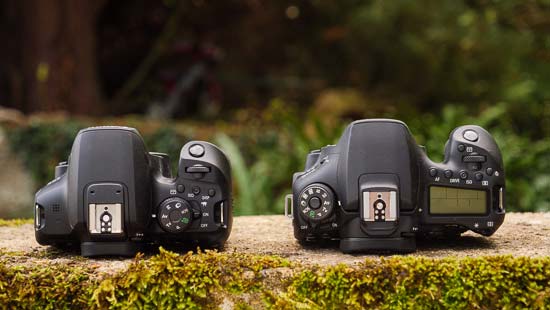 Canon EOS 850D Review | Photography Blog