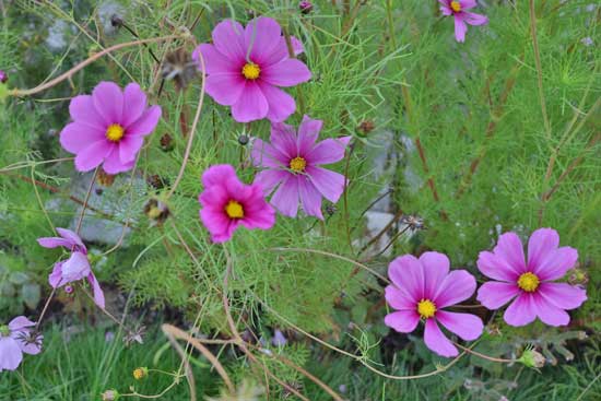 Canon EOS R6 Mark II Review | Photography Blog