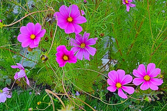 Canon EOS R6 Mark II Review | Photography Blog