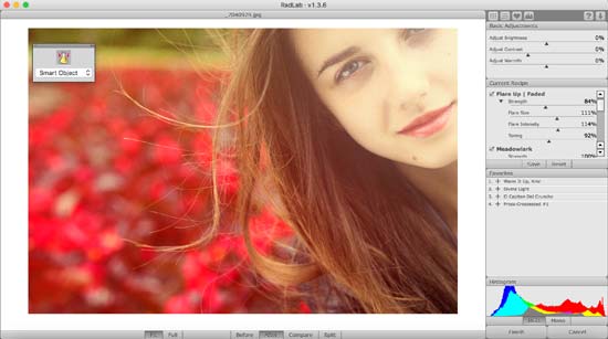 RadLab Review | Photography Blog