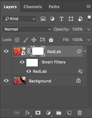RadLab Review | Photography Blog