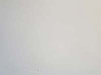 Samsung Galaxy Note 8 Review | Photography Blog