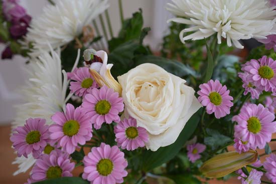 Sony A1 II Review | Photography Blog