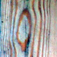 Sony FE 16-35mm F2.8 GM II Review - Sharpness 2 | Photography Blog